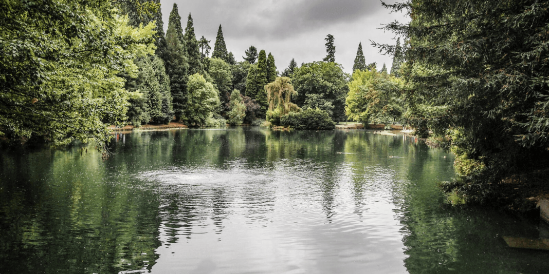 Guide to The Best Portland, Oregon Parks in 2025