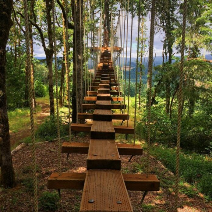 This Epic Tree-Top Adventure Park Near Portland Belongs On Your Oregon ...