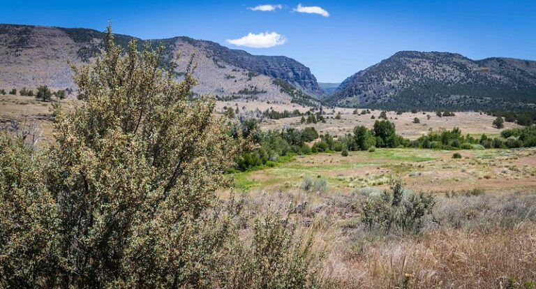 2024 Guide To Oregon's Steens Mountain Wilderness