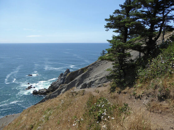 2026 Hiking Guide to Oregon's Cape Falcon Trail