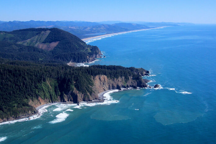 2025 Hiking Guide to Oregon's Cape Falcon Trail