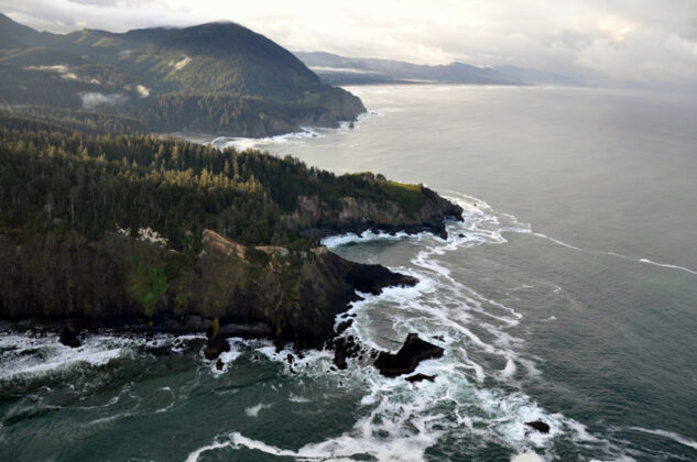 2026 Hiking Guide to Oregon's Cape Falcon Trail