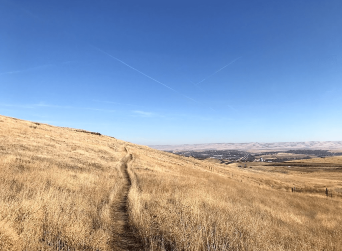 Your 2024 Travel Guide to Pendleton, Oregon