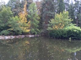 The Ultimate Guide to Ashland, OR - Hiking, Dining, & Beyond