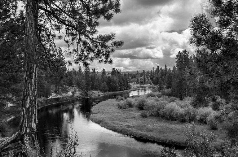 Evil Hour 1845: The Lost Wagon Train of Meek's Cutoff