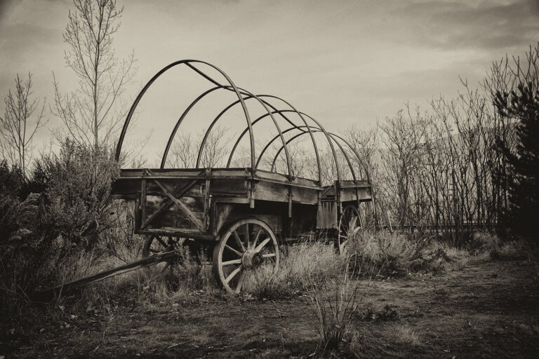 Evil Hour 1845: The Lost Wagon Train of Meek's Cutoff