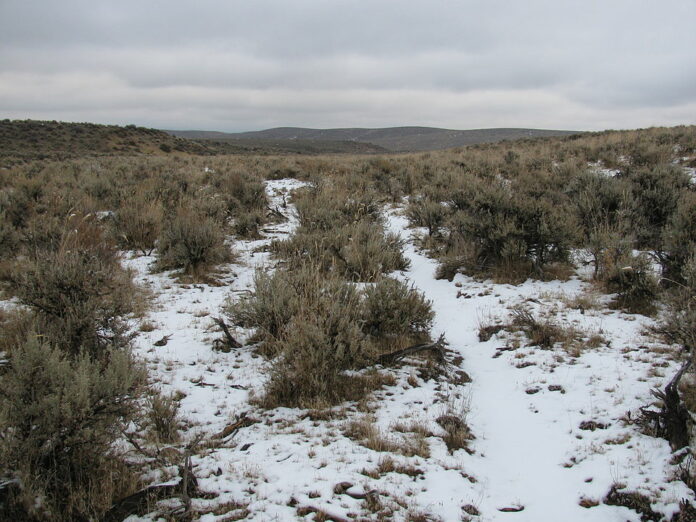 Evil Hour 1845: The Lost Wagon Train of Meek's Cutoff