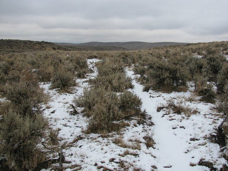 Evil Hour 1845: The Lost Wagon Train of Meek's Cutoff