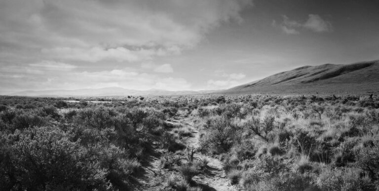 Evil Hour 1845: The Lost Wagon Train of Meek's Cutoff