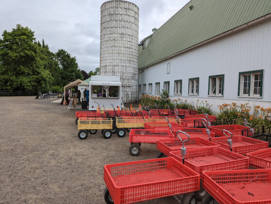 Find Your Berry Bliss On a Summer Day Trip to This U-Pick Farm
