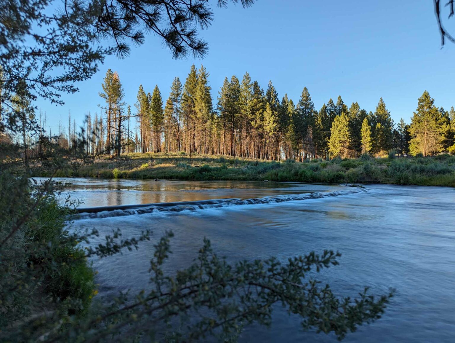 Experience Oregon's Logging History at the Collier Memorial State Park