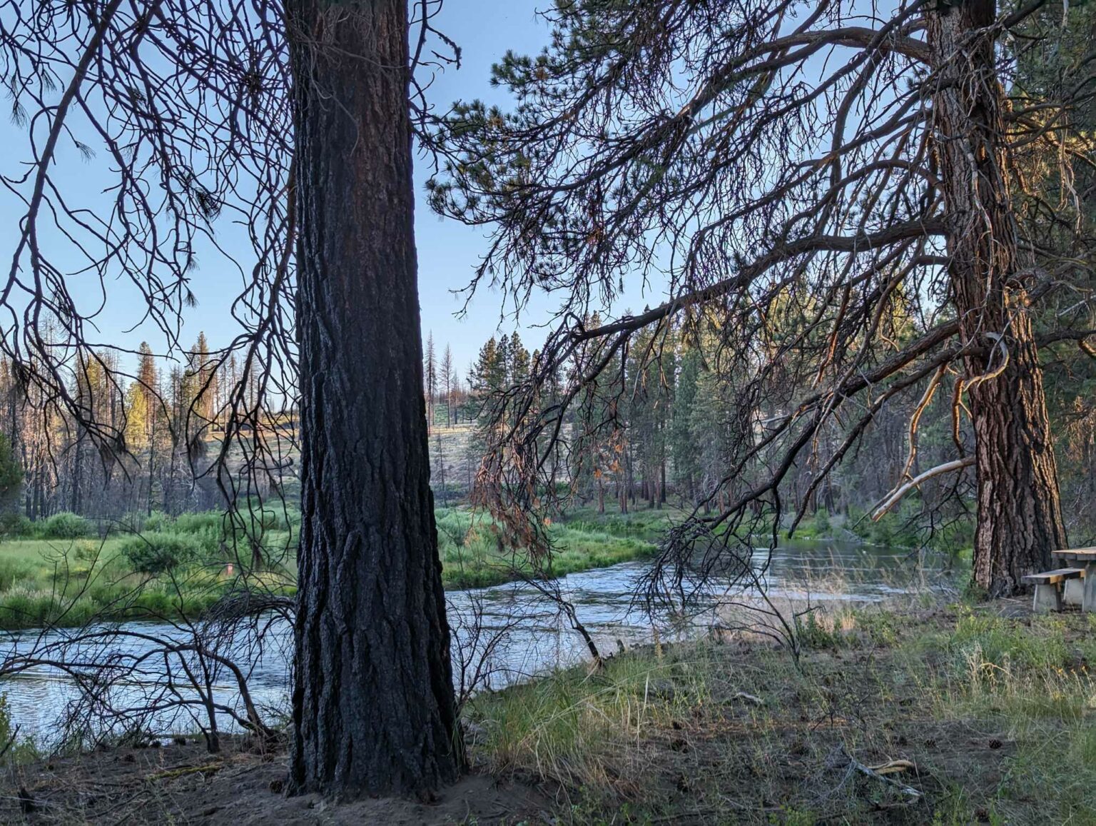 Experience Oregon's Logging History at the Collier Memorial State Park