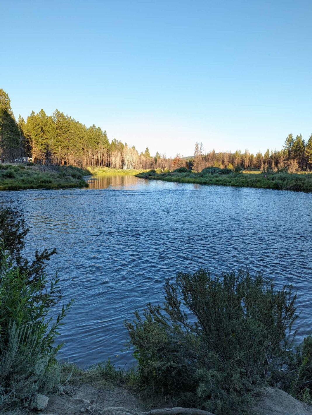 Experience Oregon's Logging History at the Collier Memorial State Park