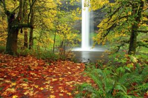 Explore Fall In Oregon: 12 Places To See Gorgeous Fall Colors