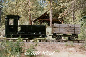 Experience Oregon's Logging History at the Collier Memorial State Park