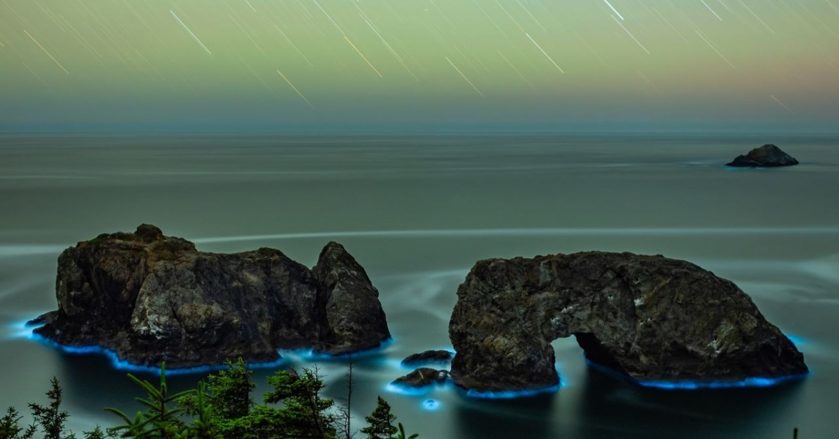 Photographer Captures Oregon's Arch Rock Bathed in Bioluminescent