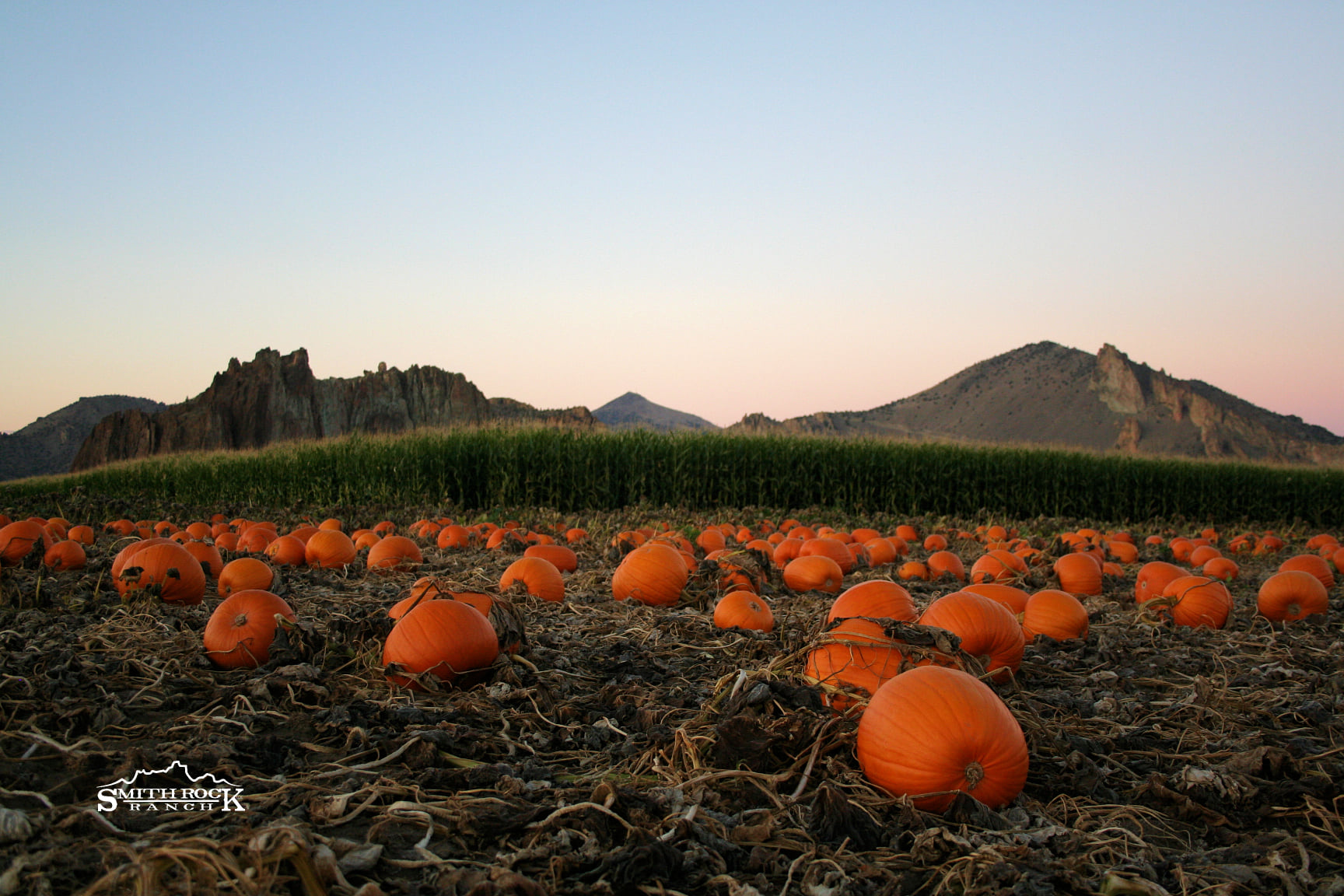Get Lost In Oregon's Ultimate Corn Maze Journey At This Popular