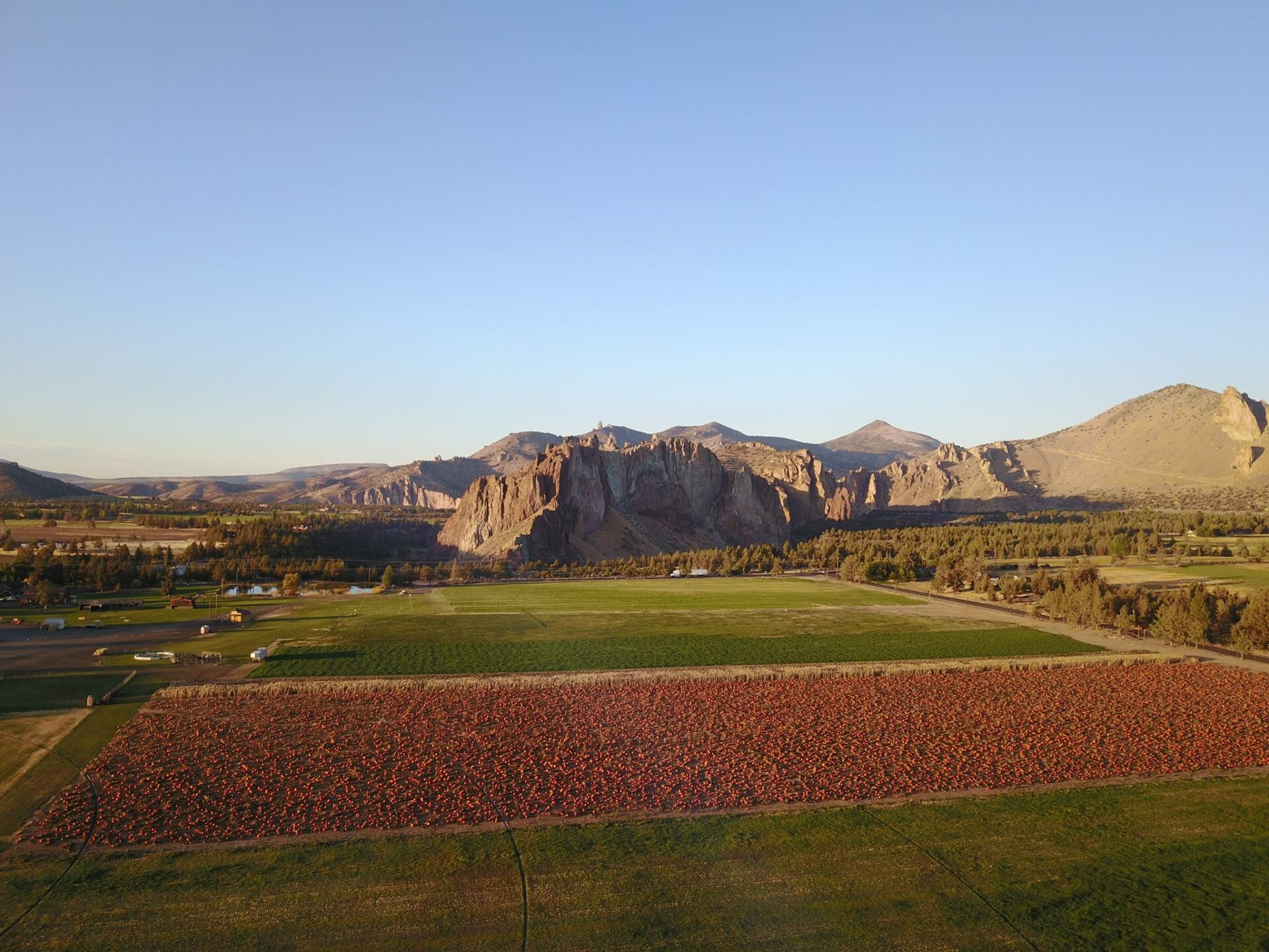 Pick A Pumpkin And Get Lost In The Corn Maze With A Million-Dollar View ...