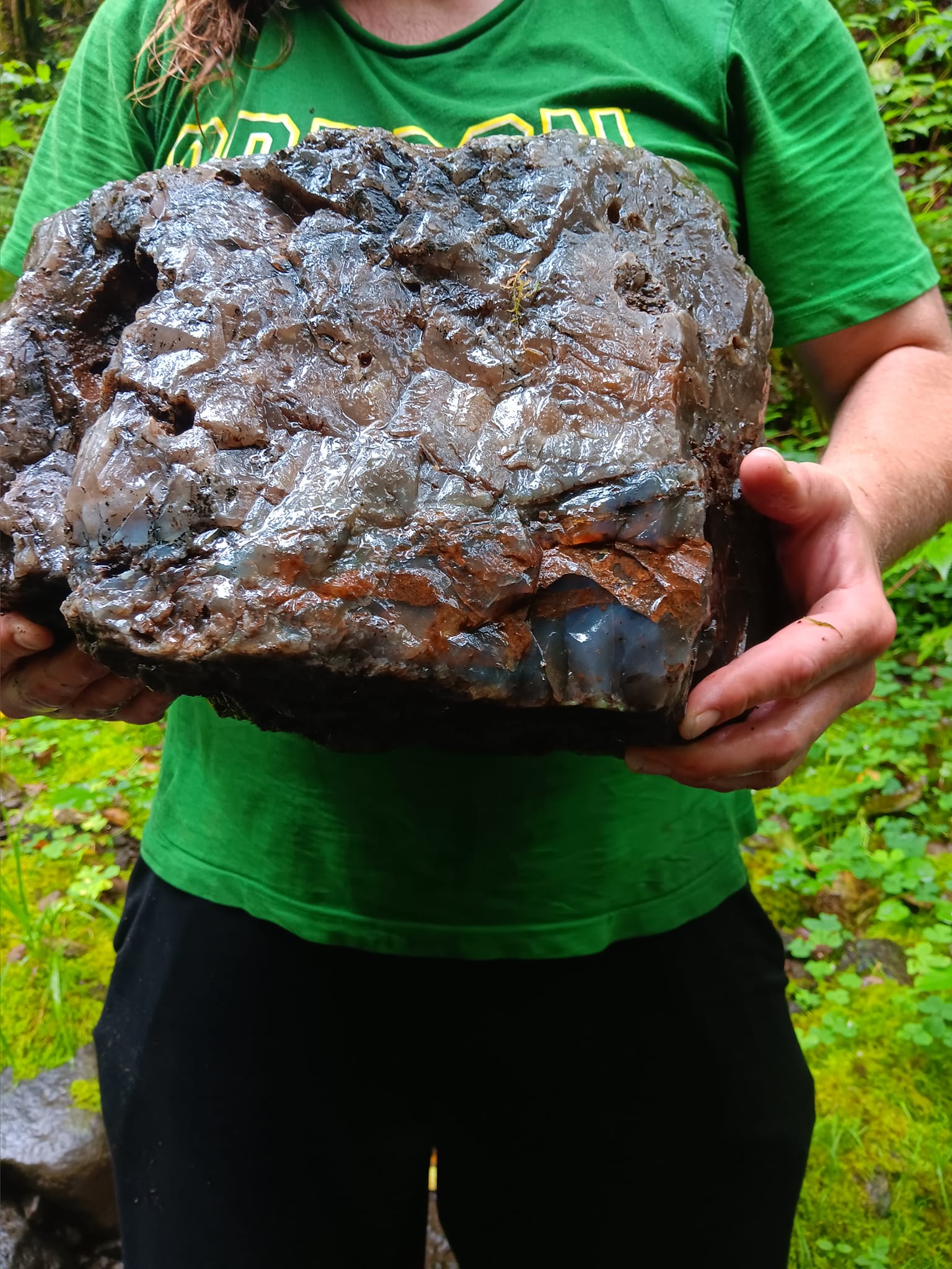 Man Discovers a Massive 60lb Agate on the Oregon Coast