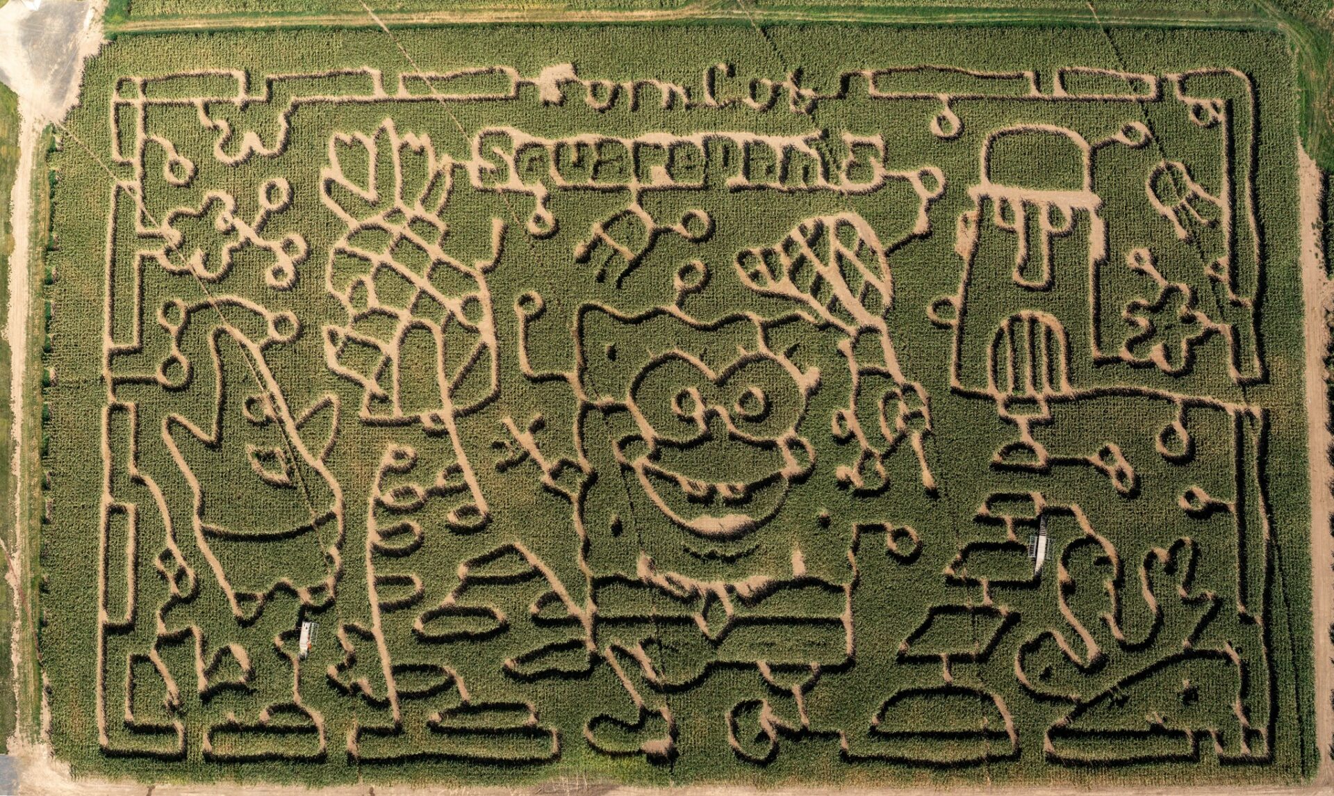 Get Lost In Oregon's Ultimate Corn Maze Journey At This Popular