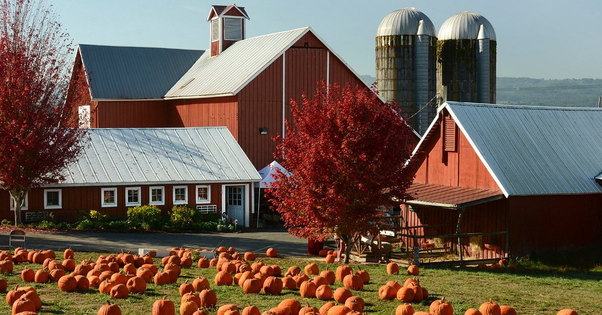 Savor the Unbeatable Apple Cider Slushies at Oregon Heritage Farm