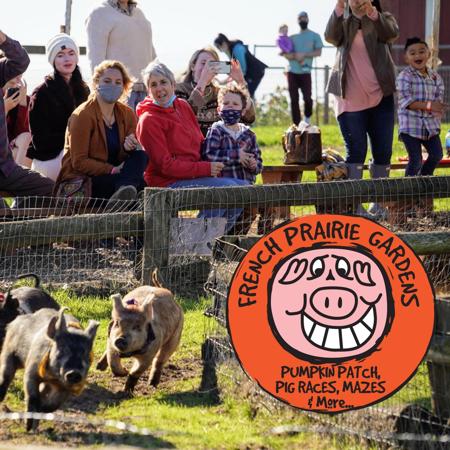 This Pumpkin Patch In Oregon Has Apple Cider Floats That Will Put Your ...