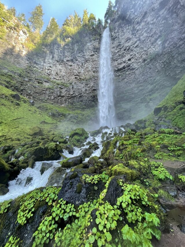 Oregon's 3rd Tallest Waterfall: The Watson Falls Hike Guide