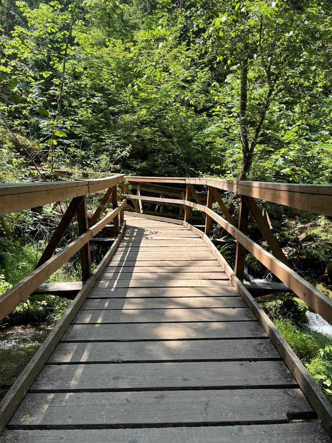 Oregon's 3rd Tallest Waterfall: The Watson Falls Hike Guide