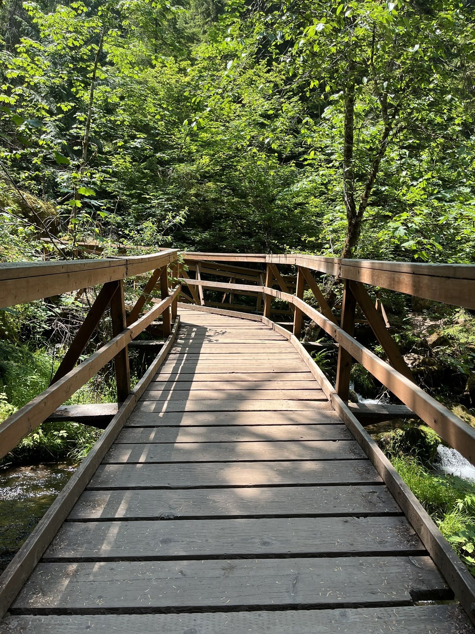 Oregon's 3rd Tallest Waterfall: The Watson Falls Hike Guide