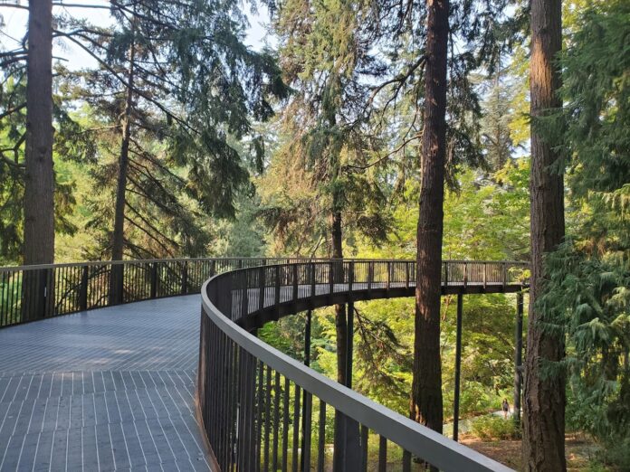 Take a Breathtaking Stroll Among the Treetops at This Aerial Tree Walk ...