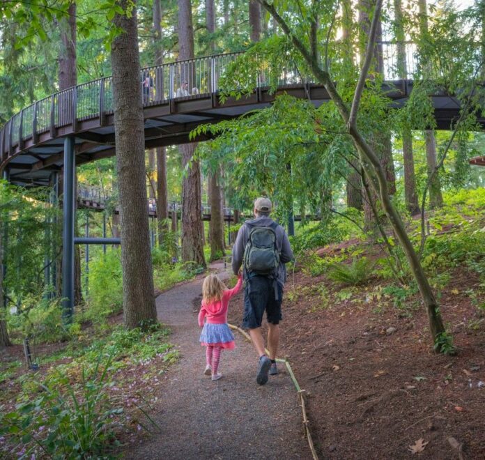 Take a Breathtaking Stroll Among the Treetops at This Aerial Tree Walk ...
