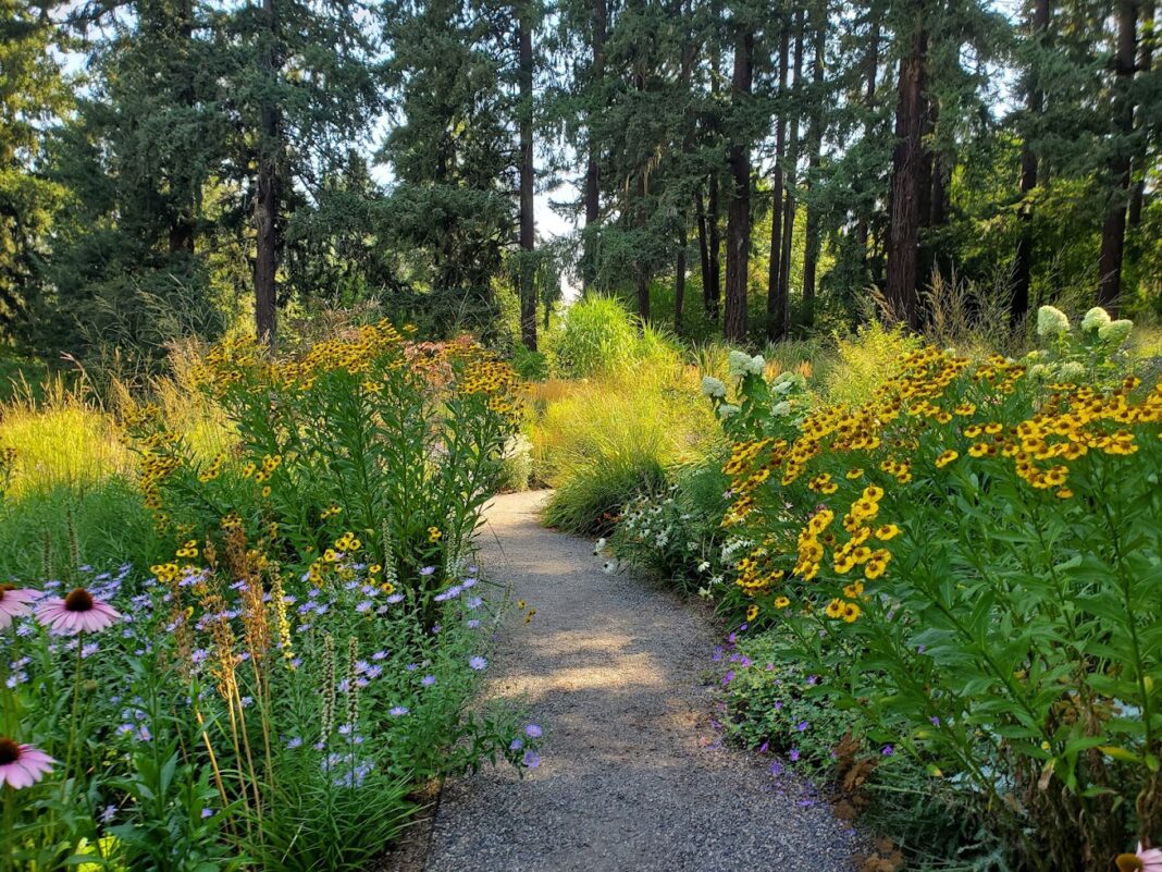 Take a Breathtaking Stroll Among the Treetops at This Aerial Tree Walk ...