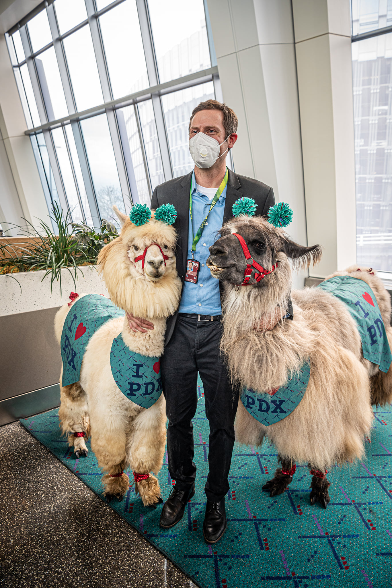 A Few Lucky Visitors to the Portland Airport Got a Furry Surprise This Week