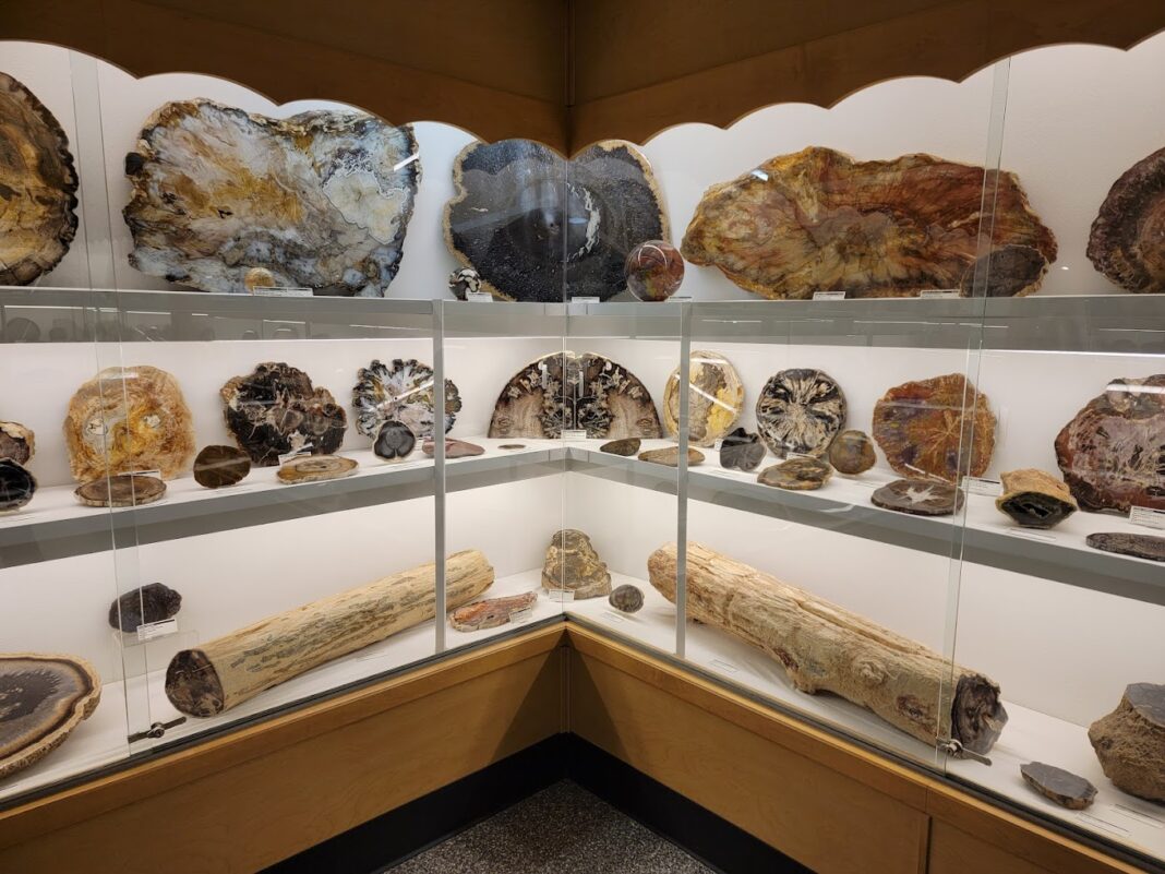 Rice Northwest Museum of Rocks and Minerals: Lose Track of Time ...