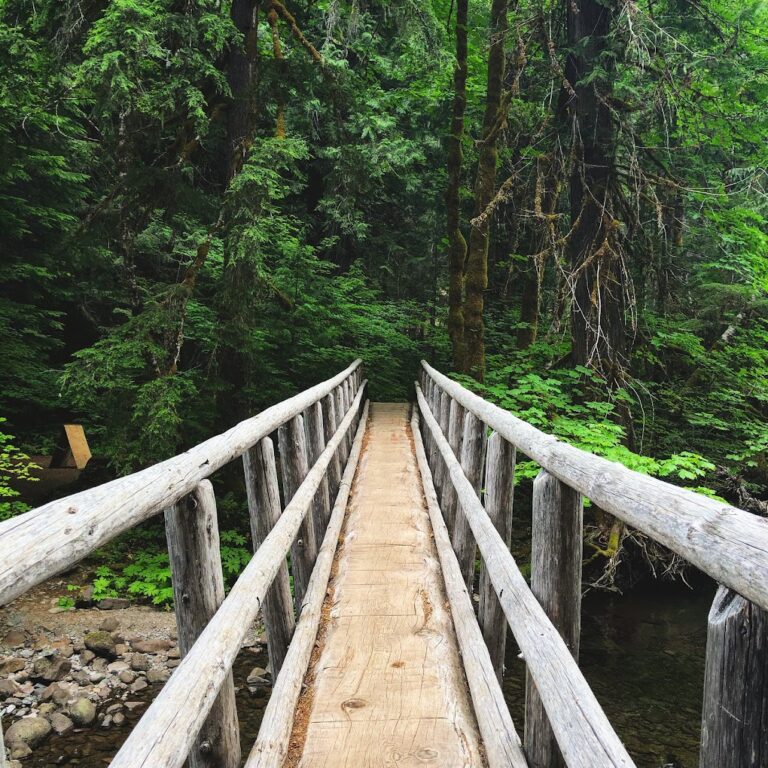Relax And Recharge at Bigelow Hot Springs In Oregon