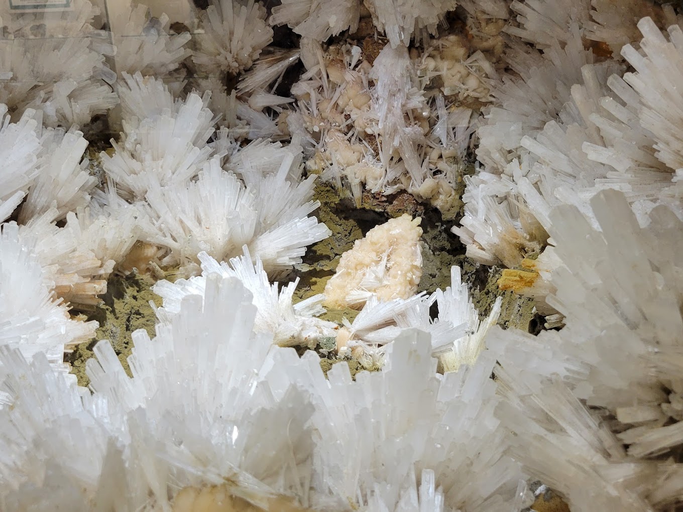 Rice Northwest Museum of Rocks and Minerals: Lose Track of Time ...