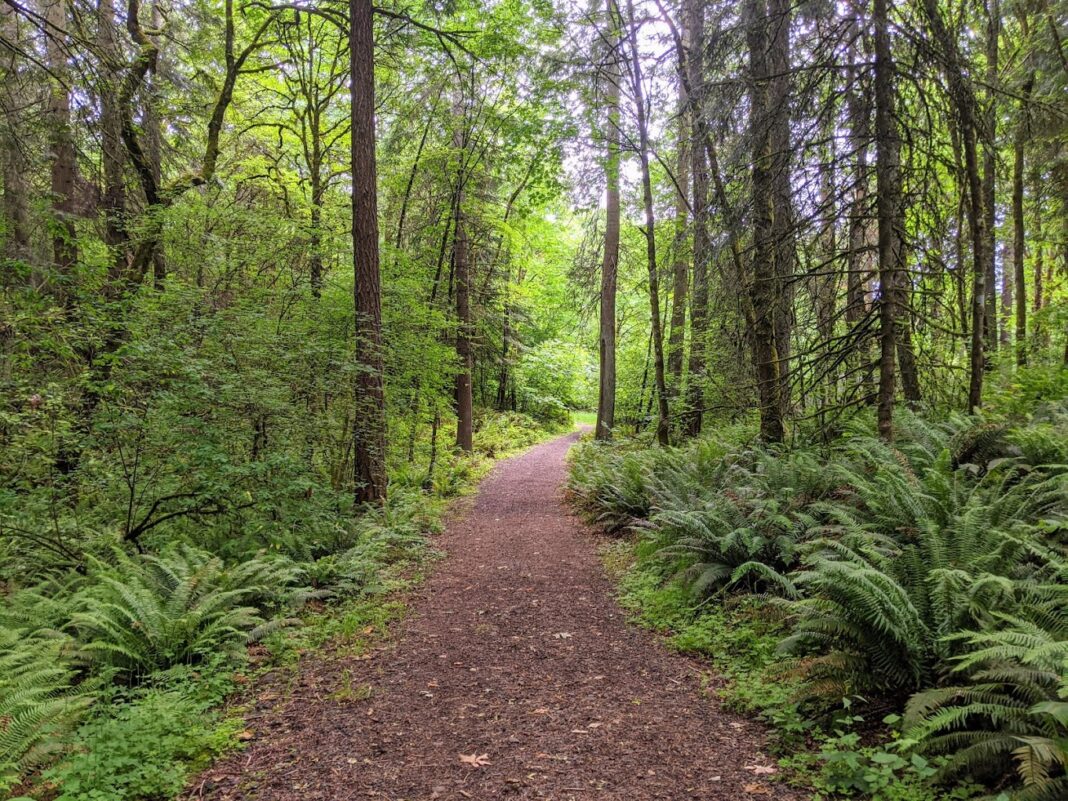Immerse Yourself in Nature and Learn About Oregon History at this Extraordinary Park and Hiking Area