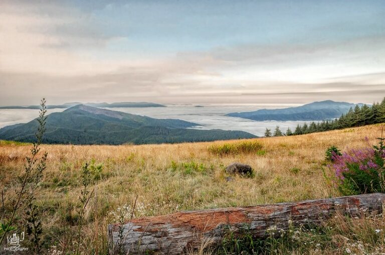 Ultimate Guide to Exploring Mary Peak: Trails, Tips, and Views