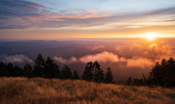 Ultimate Guide to Exploring Mary Peak: Trails, Tips, and Views