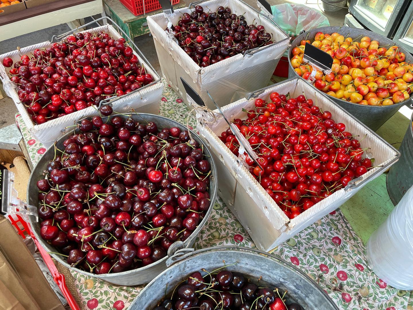 See The Incredible Oregon Farm Where You Can Pick Buckets Of Juicy Berries