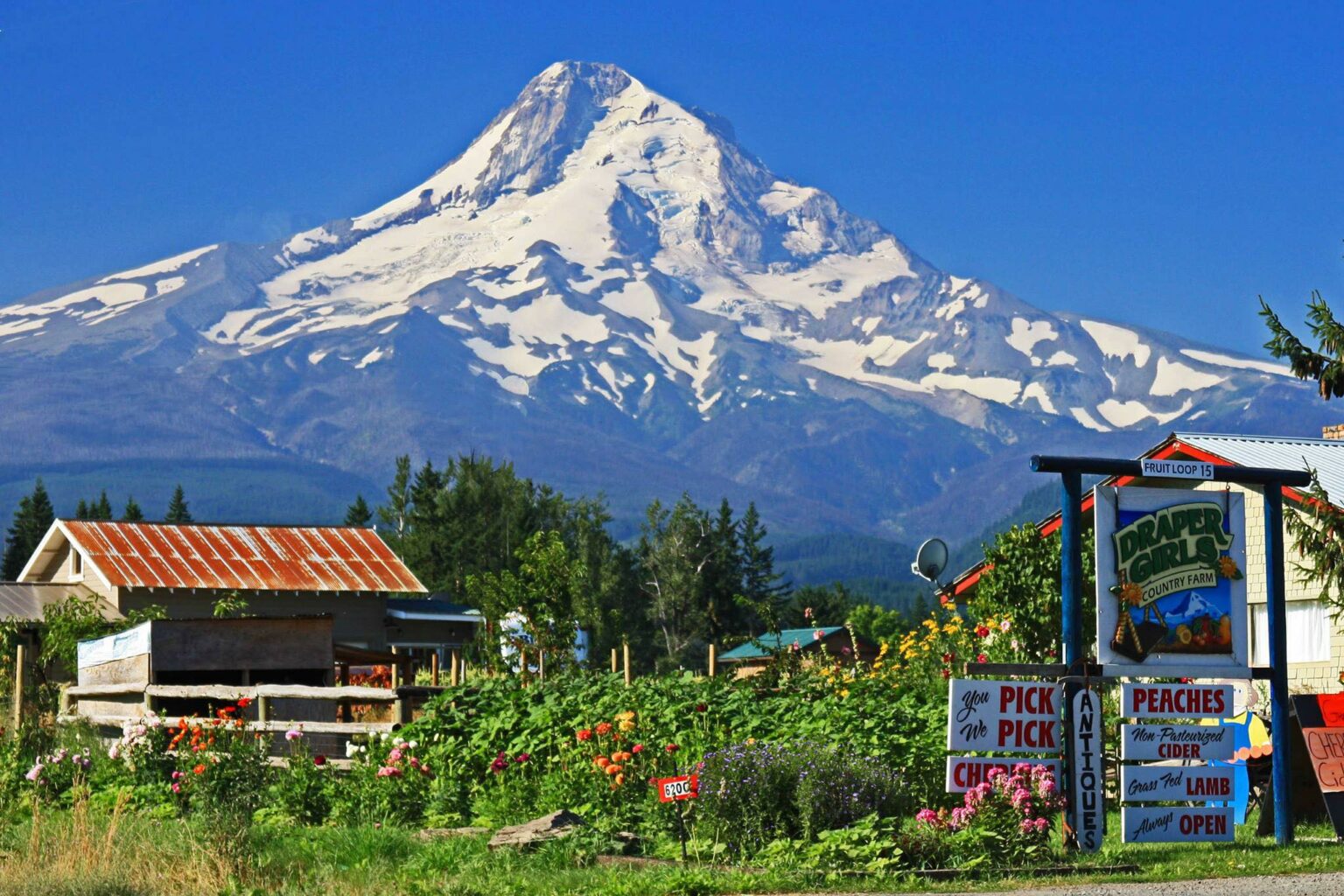 See The Incredible Oregon Farm Where You Can Pick Buckets Of Juicy Berries