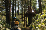 Discover a Secret Jungle Gym in the Heart of the Oregon Coast Rainforest