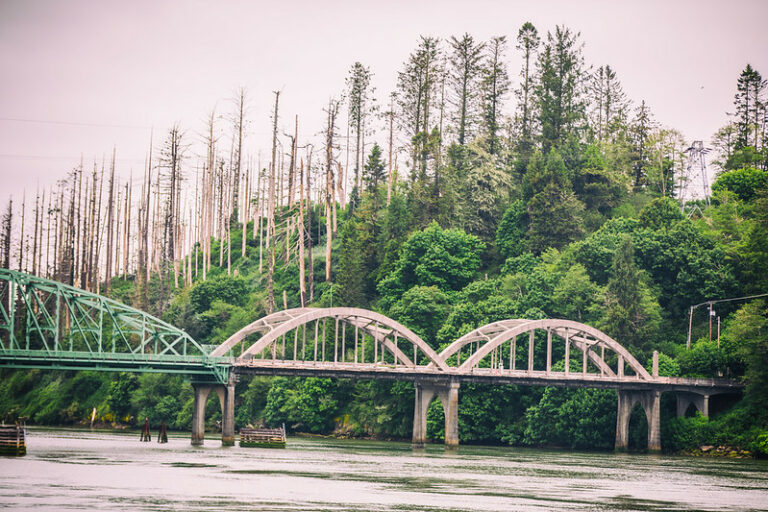 Reedsport Is A Nature Lover's Paradise On The Oregon Coast