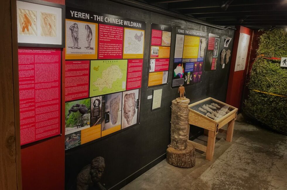 This Bigfoot Museum in Oregon Has The Largest Collection of Bigfoot ...