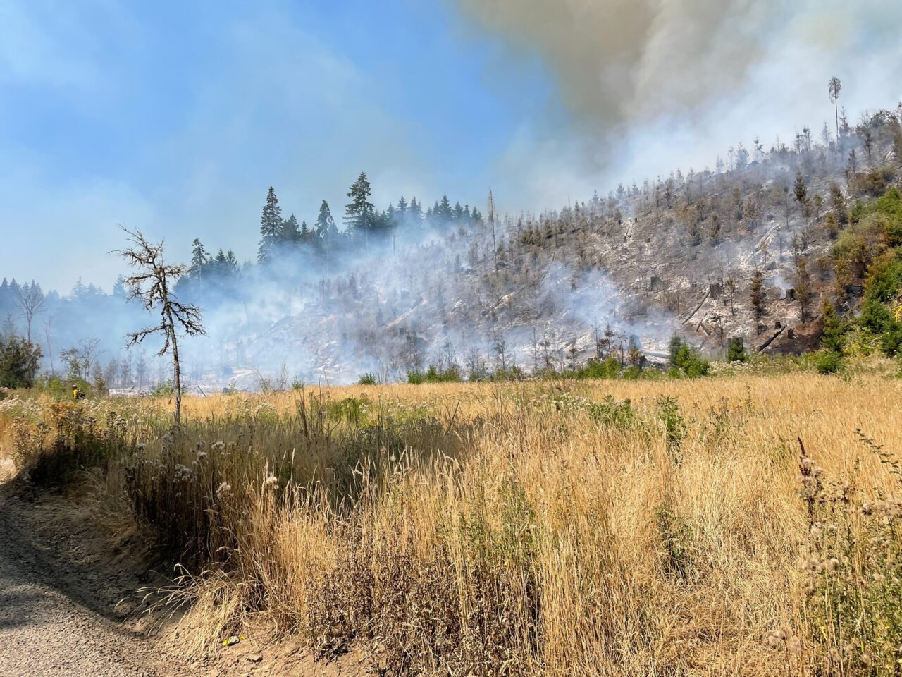Wildfire Forces 'Go Now' Level 3 Evacuations at Henry Hagg Lake in Oregon