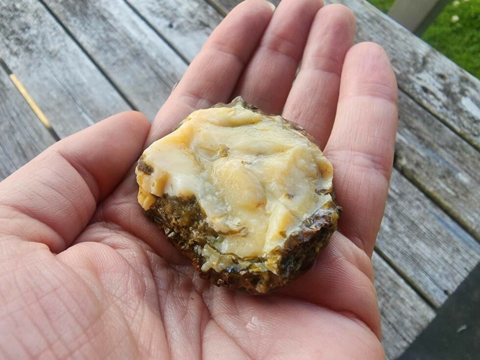 Dig For Gorgeous Opals Hidden in Oregon’s Ancient Volcanic Landscapes