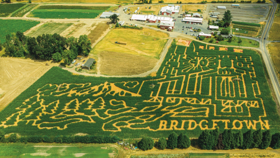 Portland's Favorite Corn Maze And Pumpkin Patch to Open August 31