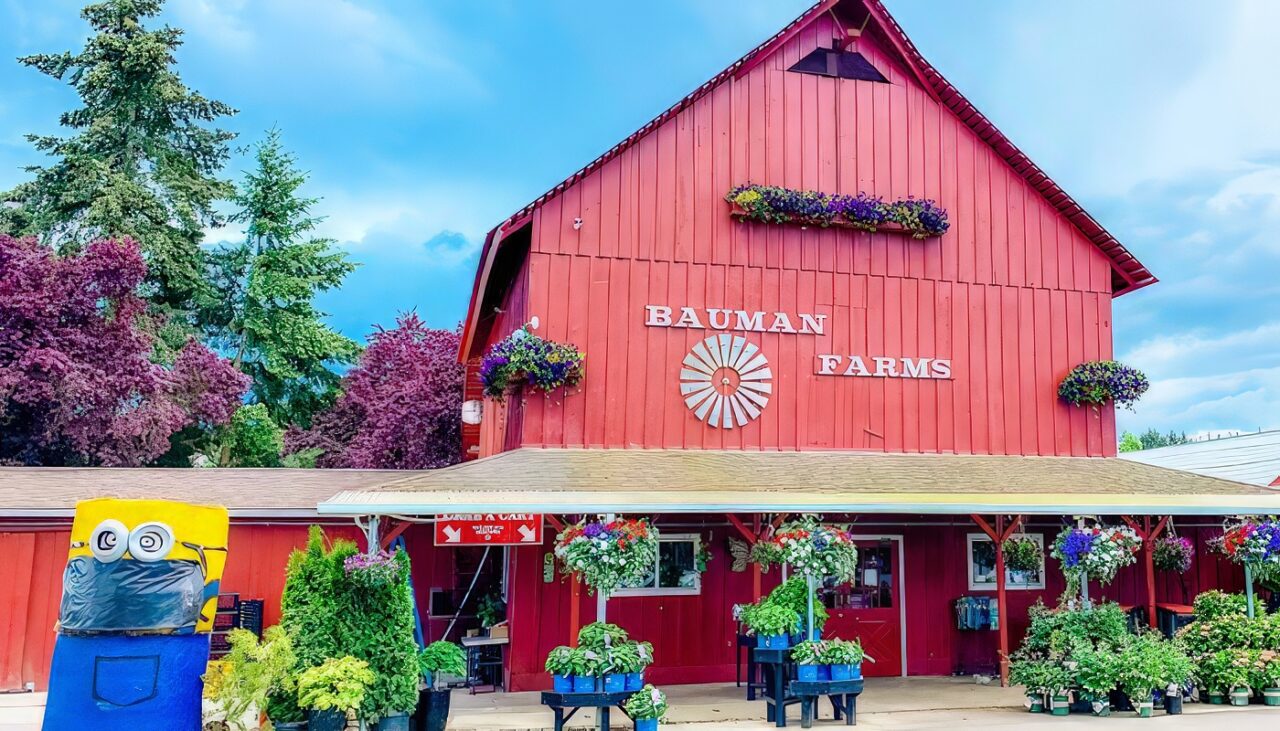 Fall Fun and Apple Cider Donuts Make Bauman's Farm Harvest Festival ...