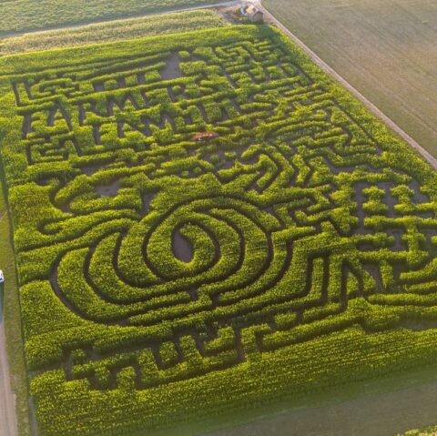 Find Corn Mazes, Giant Slides, Tractor Rides and More at this Charming ...
