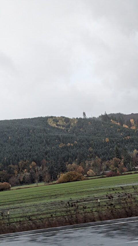 This Oregon Hill Near Willamina Smiles Back At You Every Autumn